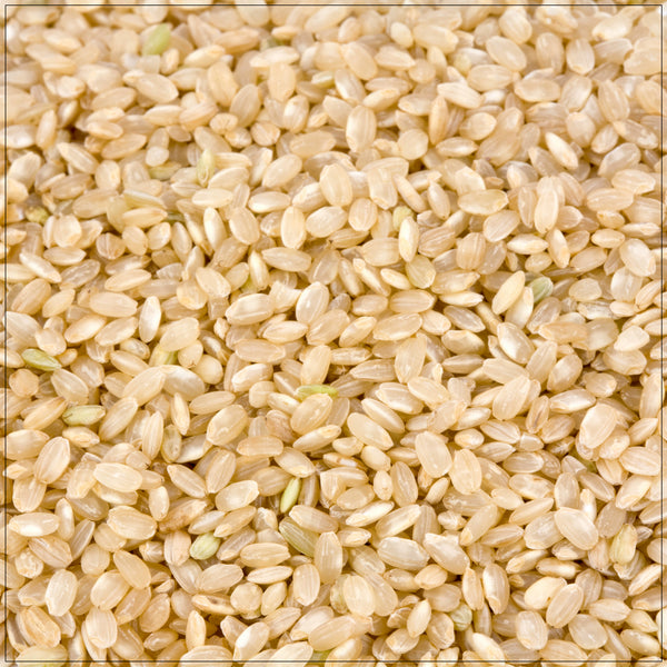 Short grain brown rice